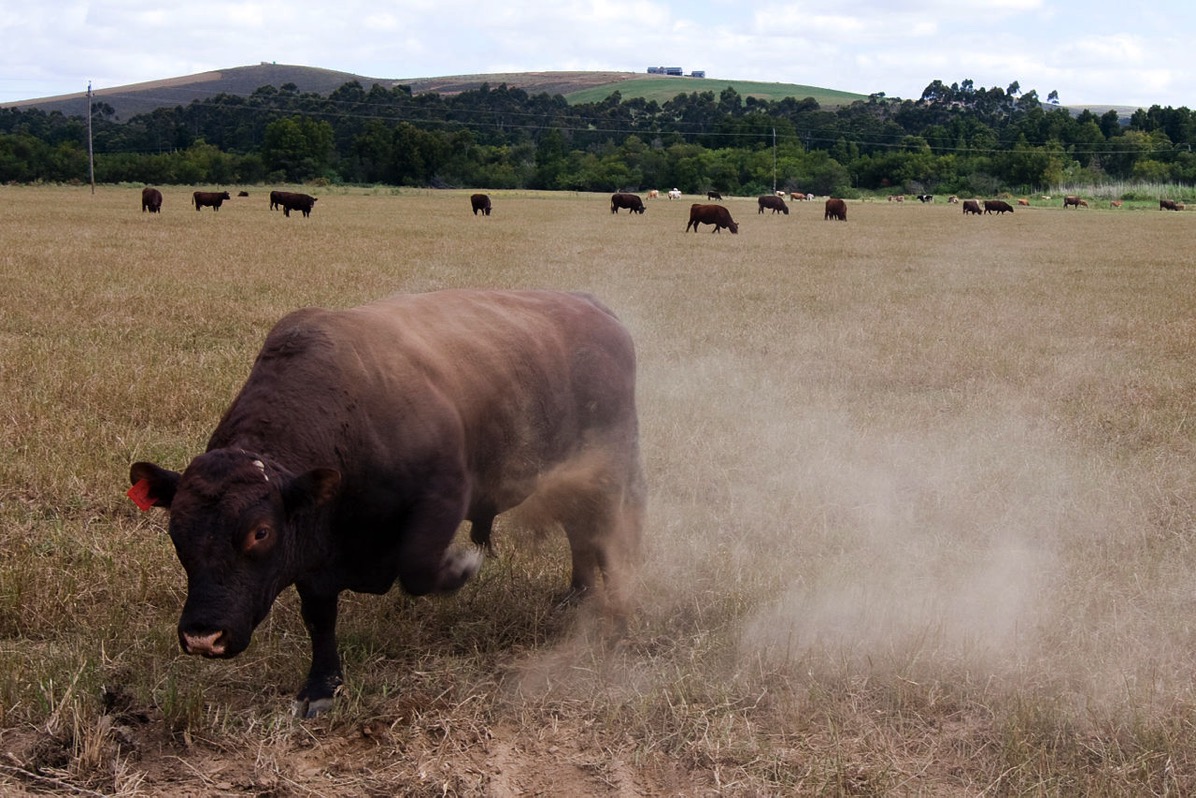 Abortion, the Bible, and Us: On Personhood | Blind Scholar